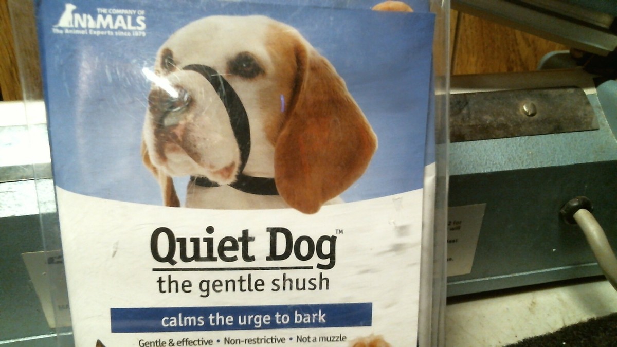 Shush Dog