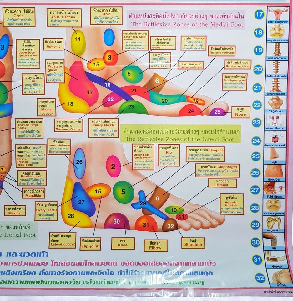 Poster Thai Massage Body Oil Foot Traditional Sketch Chart Reflexology ...