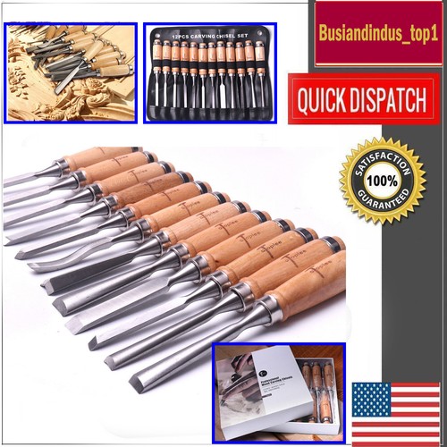 US 12 Pcs Wood Carving Hand Chisel Tool Professional Woodworking Gouges Streel for sale online ...