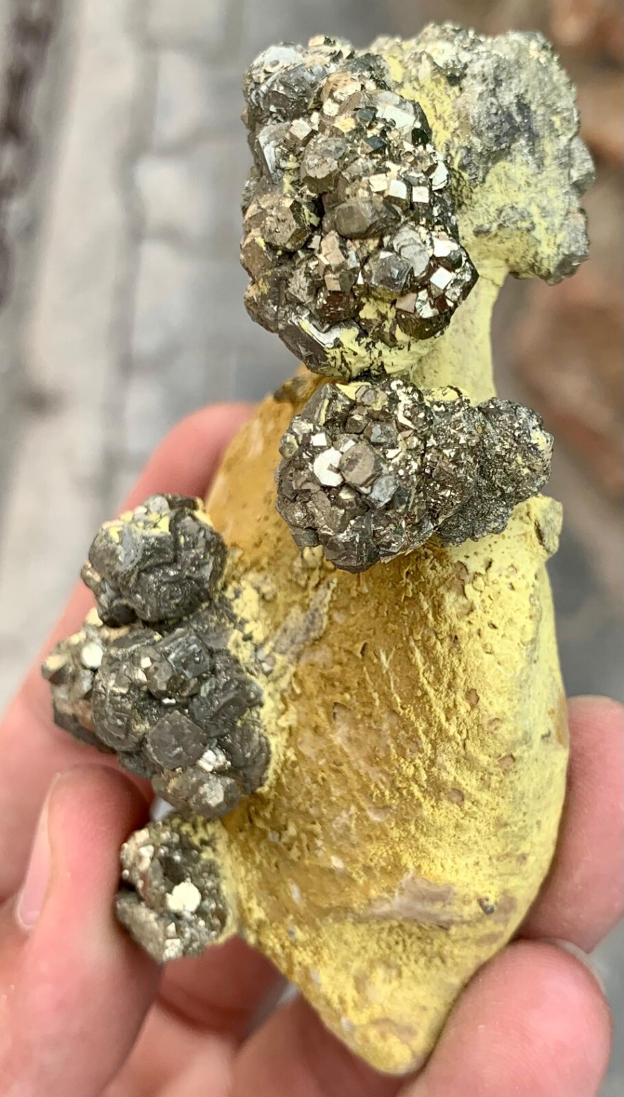 202 Gram Golden Pyrite Crystals Bunch on Limonite Matrix From Manshera ...