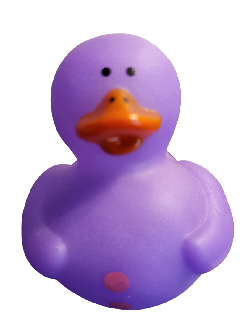 Purple Rubber Ducks