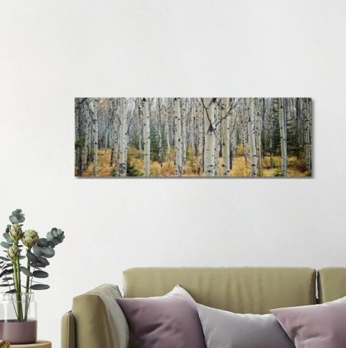 Aspen Tree Wall Art Canvas Print Decor Poster Calming Fall Grove Forest ...