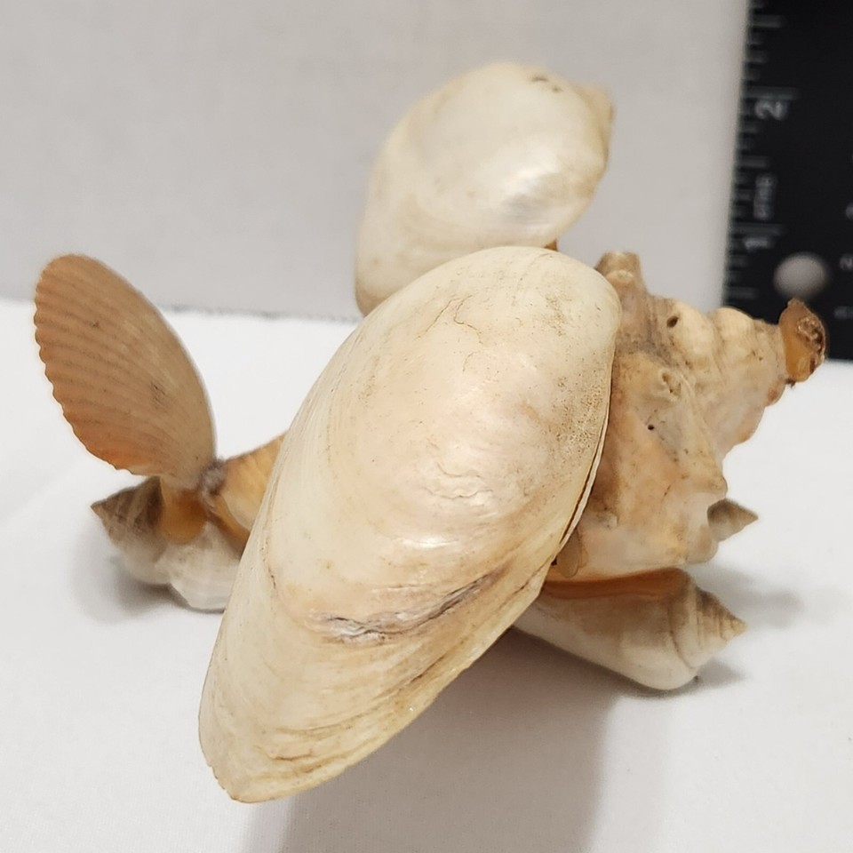 Vintage Hand Crafted Sea Shell Airplane Sculpture Figurine | eBay