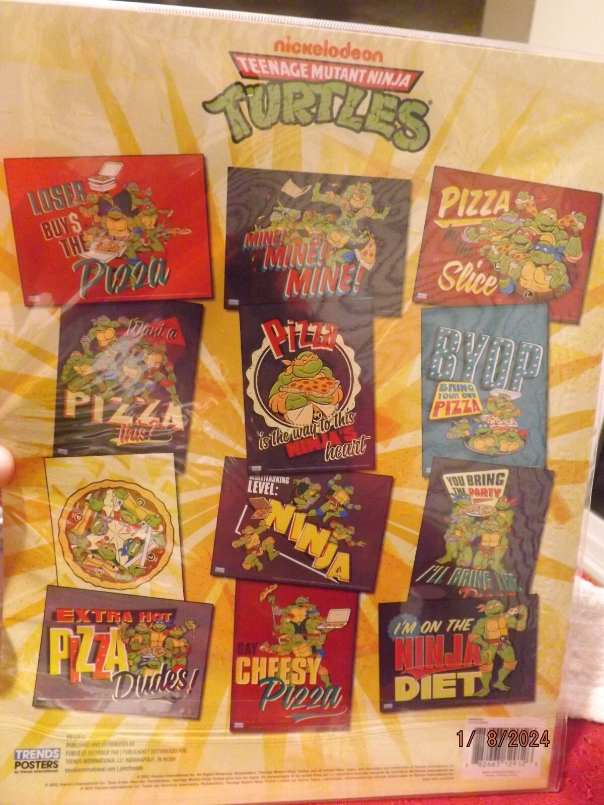 Nickelodeon Teenage Mutant Ninja Turtles Posters--Set of 12--Brand New ...