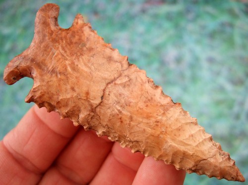 Super Fine 3 1/2 inch Serrated Florida Pine Tree Point with COA Arrowheads | eBay