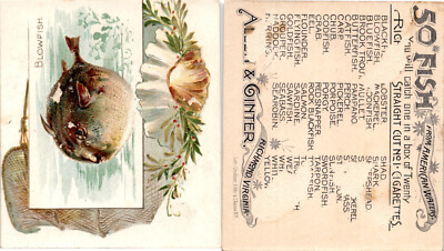 N39 Allen & Ginter, Fish From American Waters, 1889, Blowfish | eBay