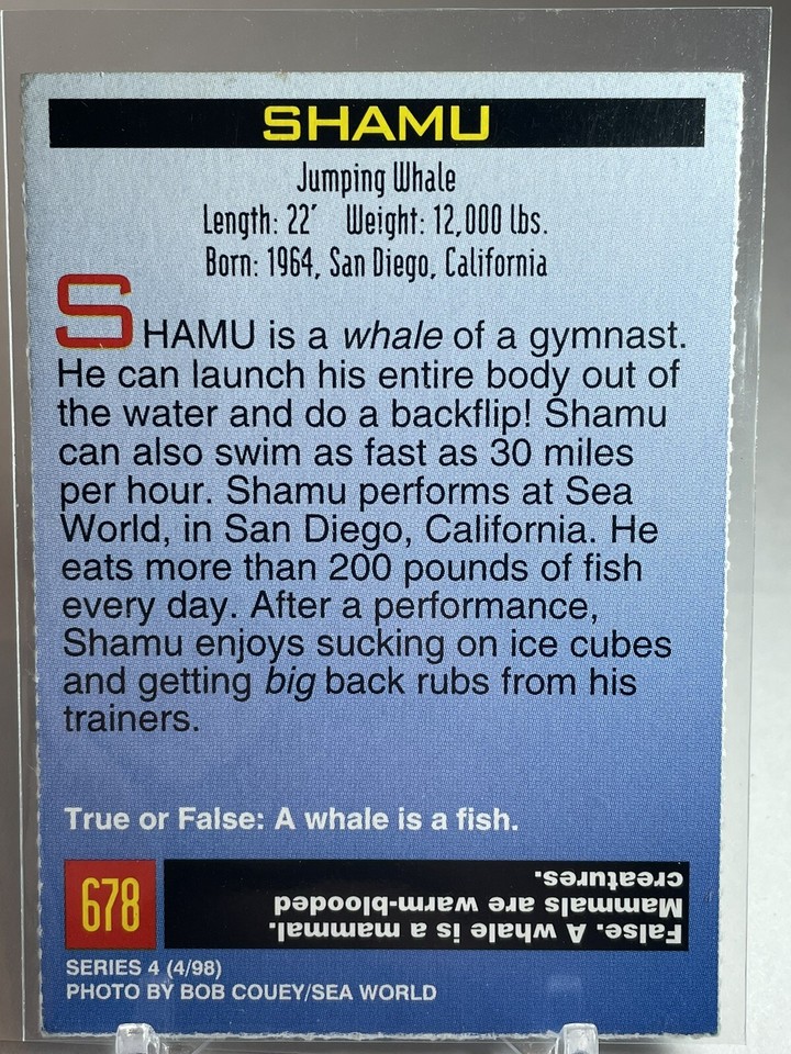 1998 Sports Illustrated for Kids Series 2 Animal Athlete Shamu #678 | eBay