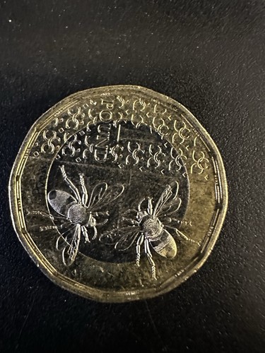 King Charles III One Pound Coin 2023 Bees £1 BUNC with Privy | eBay UK