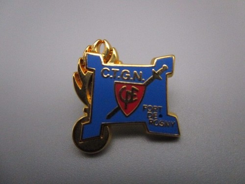 pin's police / CTGN Centre Technique de la Gendarmerie Nationale | eBay