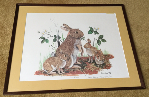 GENE GRAY RABBITS HAND SIGNED ARTIST PROOF 98/100 PRINT COLLECTER ...