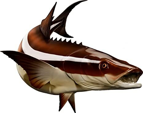Cobia Beautiful Vinyl Sticker Fish Decals for Boat Car Vehicle Truck ...
