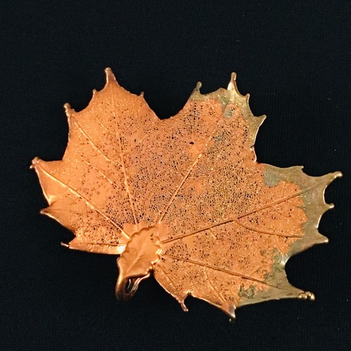 Large Detailed Iridescent Copper Real Sugar Maple Lea… - Gem
