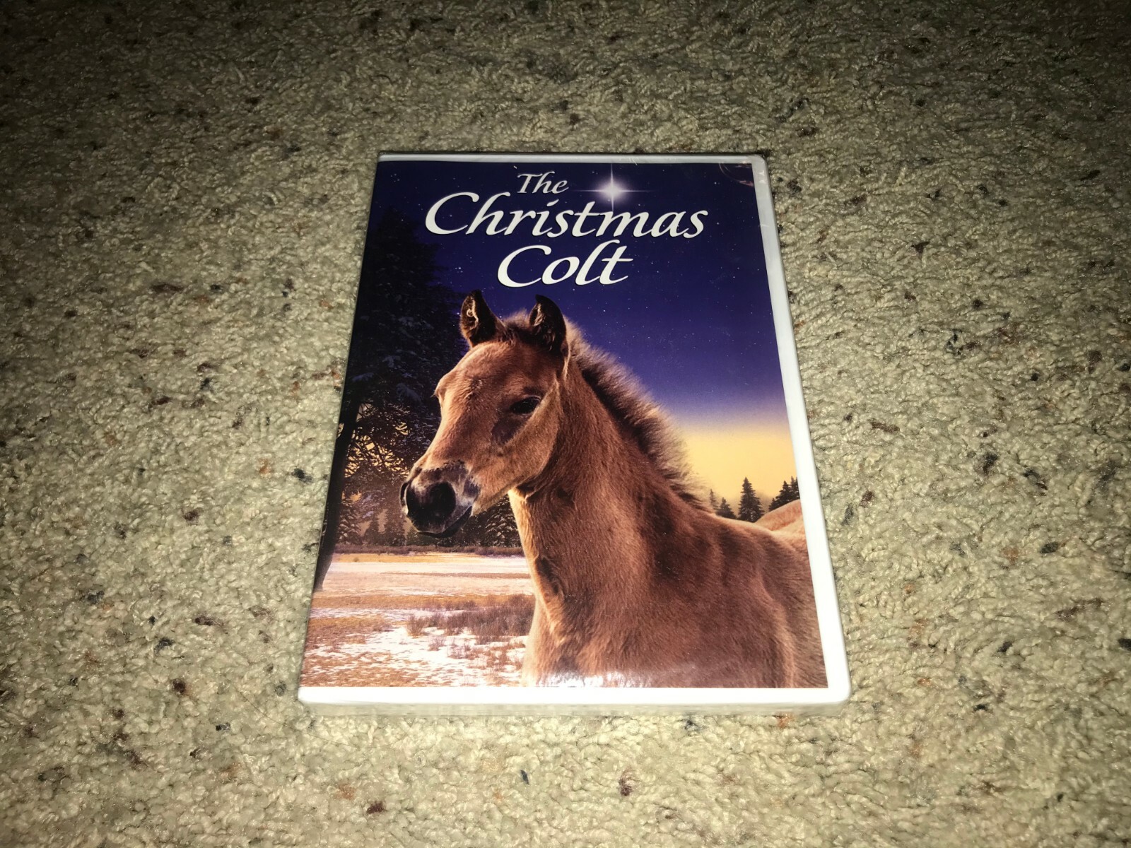 The Christmas Colt (DVD, 2013) *NEW/SEALED!* 741952732792| eBay