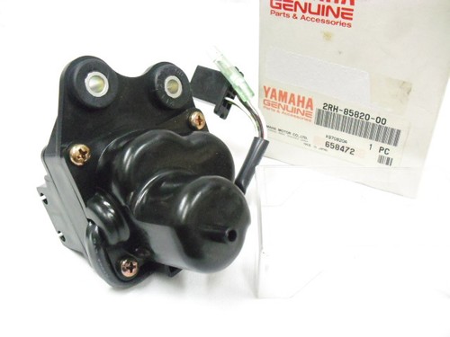 Yamaha TZR125 Servo Motor Unit NOS TZR 125 Engine Valve Assy SERVO 2RH ...