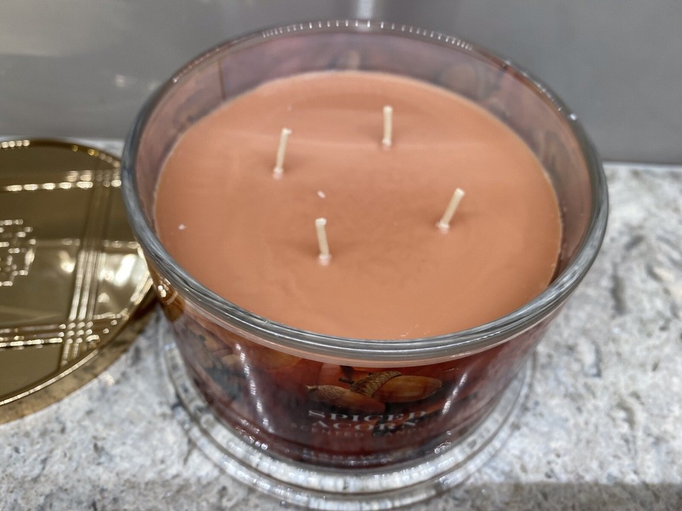 HomeWorx by Harry Slatkin Spiced Acorn 18 oz. 4 wick candle | eBay