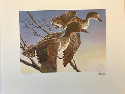 1979 First Florida Waterfowl Bird Stamp Print-Bob Binks- | eBay