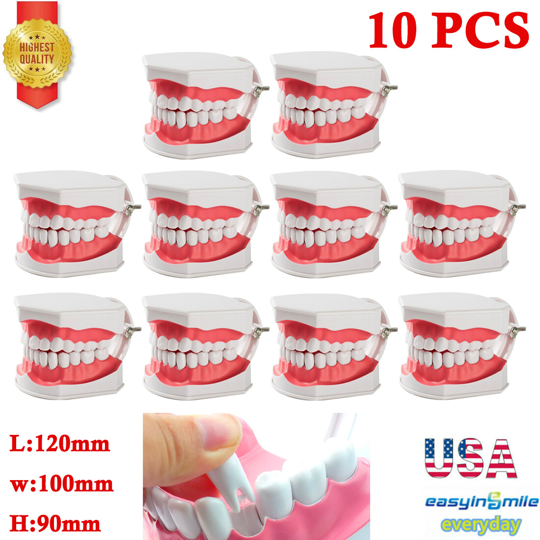 10Pcs Dental Colgate(Large) Tooth Model Removable Teeth Typodont With ...