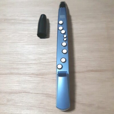 Roland AE-01 Aerophone mini Digital Wind Instrument Synthesizer ...