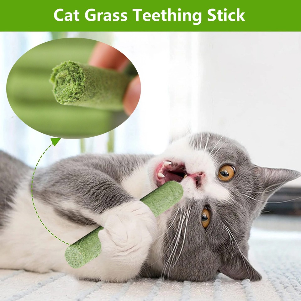 Cat Grass Teething Stick Freeze-dried Cat Grass Treats Snacks for Teeth ...