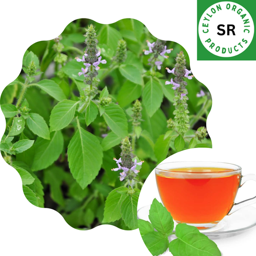 Dried Tulsi leaf Powder Organic Holy Basil Ocimum sanctum Herb immunity ...