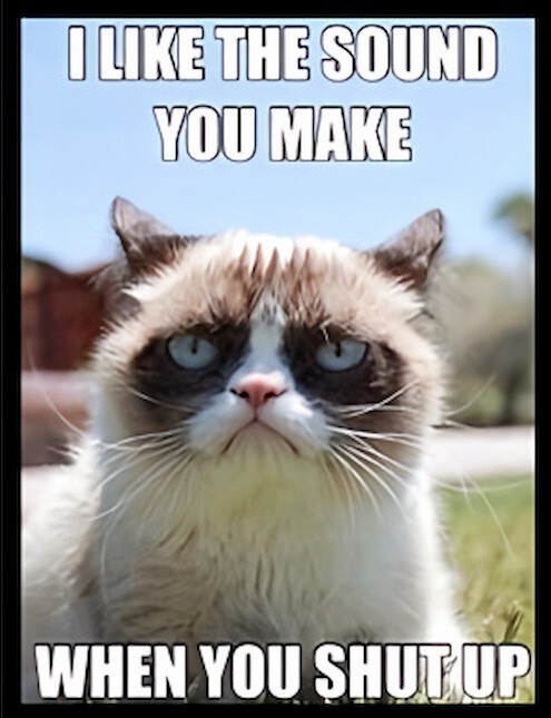 Grump Memes Scared Cat