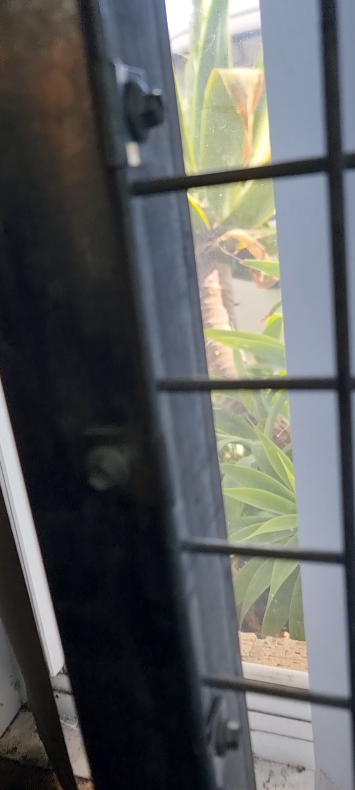 100x Wire Mesh Clip to suit Weldmesh Fencing U Clip barbed fence ...