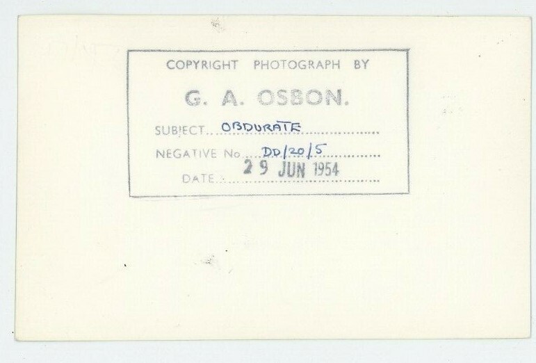 HMS Obdurate Royal Navy G.A. Osbon Military Shipping Photo, B962 | eBay