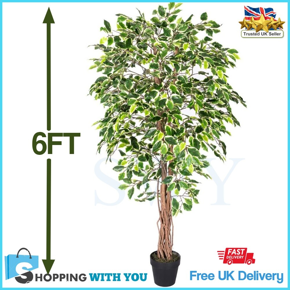 Artificial Ficus Tree With Lights 350CM Height Artificial Money Leaf