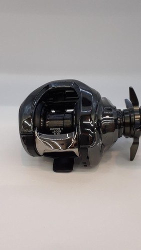 Daiwa 24 Steez Sv Tw 100H Bait Reel | eBay