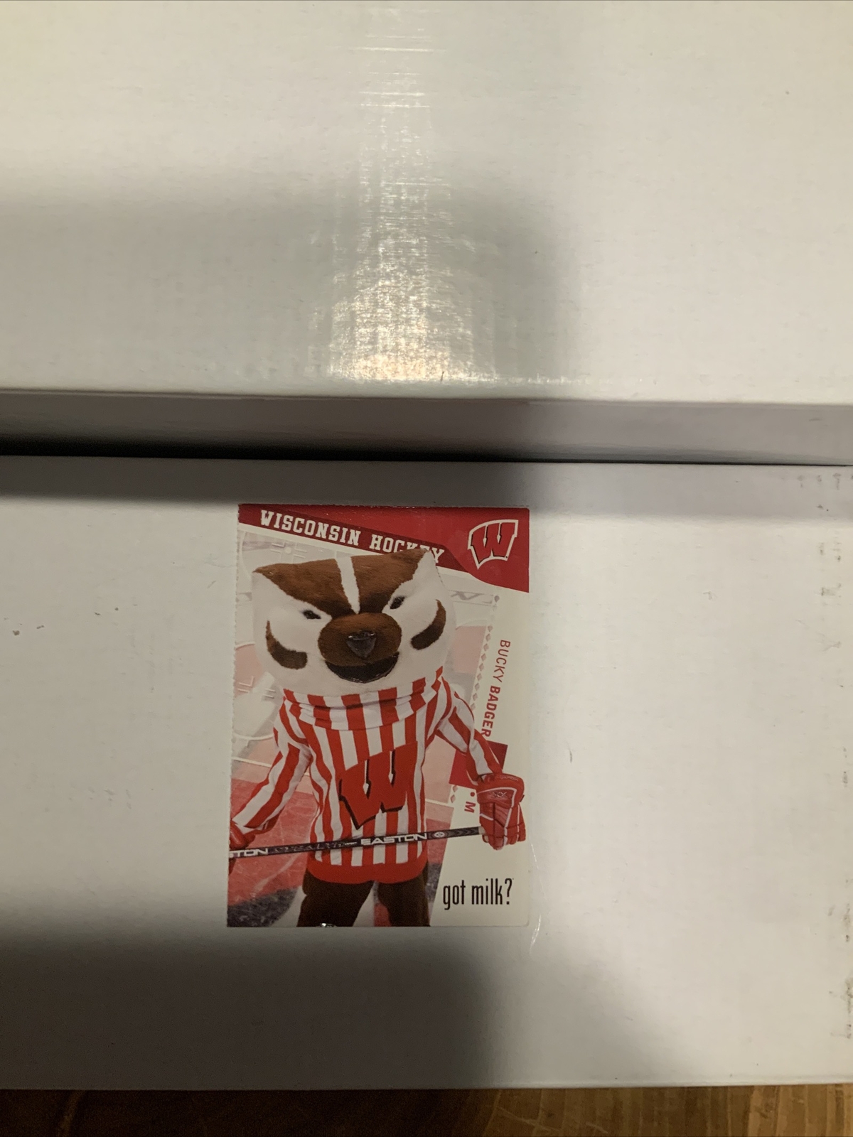 2009-10 Bucky Badger Wisconsin Badgers Hockey Card NCAA BIG TEN #100 | eBay