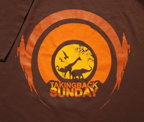Vintage 2000s Taking Back Sunday Alternative Indie Large Shirt | eBay