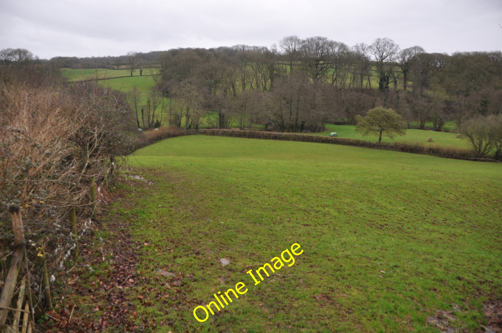 Photo 6x4 Taunton Deane : Grassy Hillside Holywell Lake From a lane ...