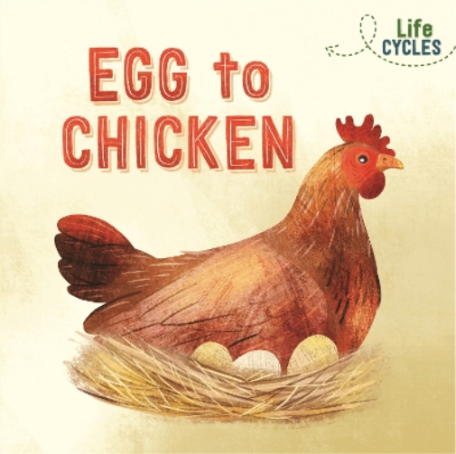 Rachel Tonkin Life Cycles: Egg to Chicken (Poche) Life Cycles | eBay