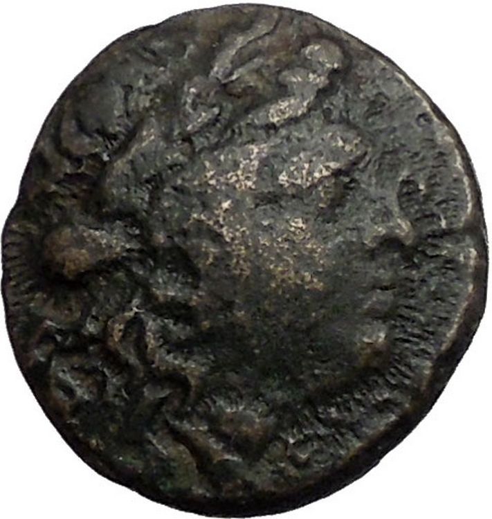 GARGARA in TROAS 350BC Apollo Horse RARE Big Authentic Ancient Greek ...