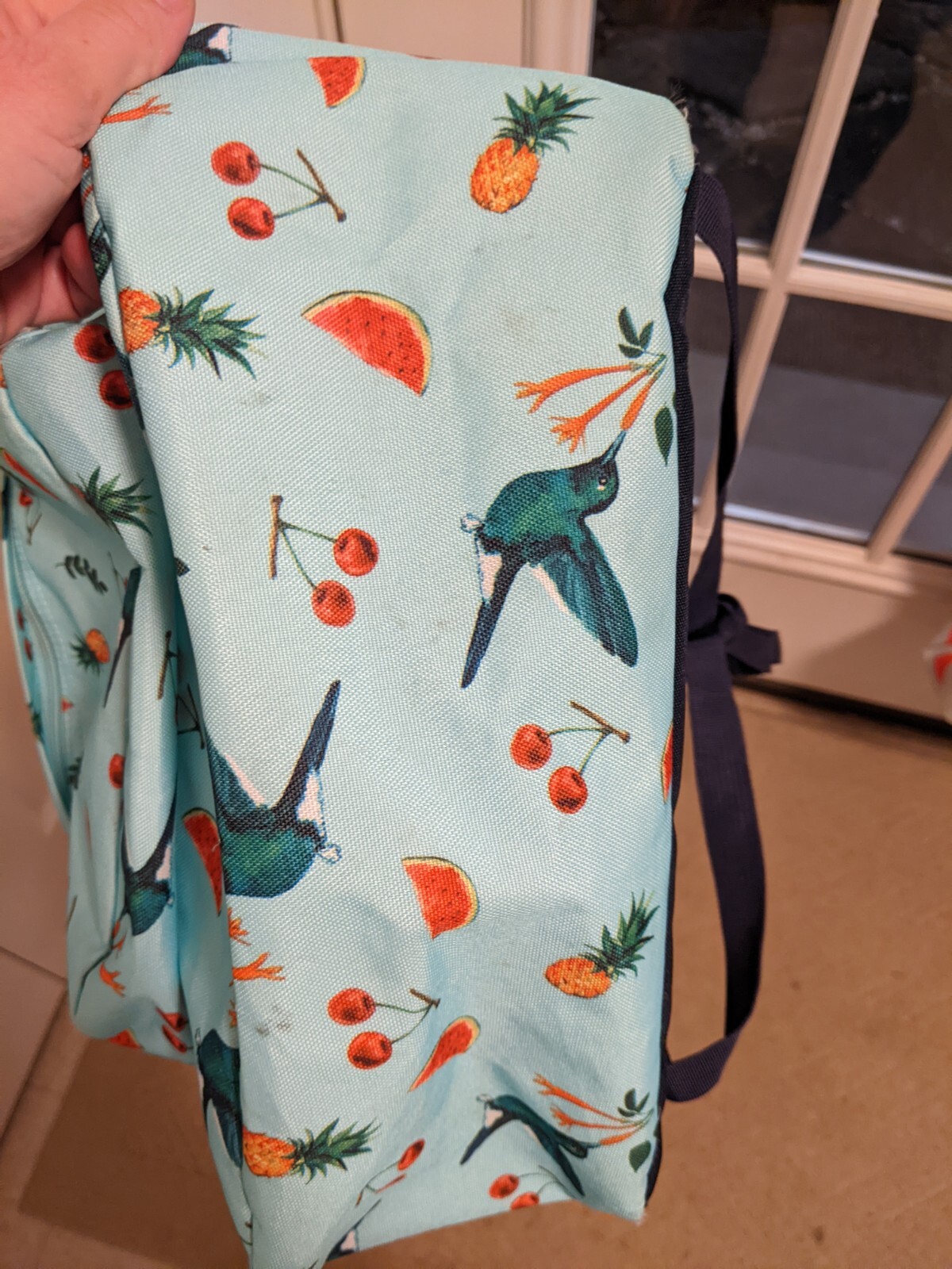 Jansport Backpack Aqua Hummingbirds And Fruit | eBay