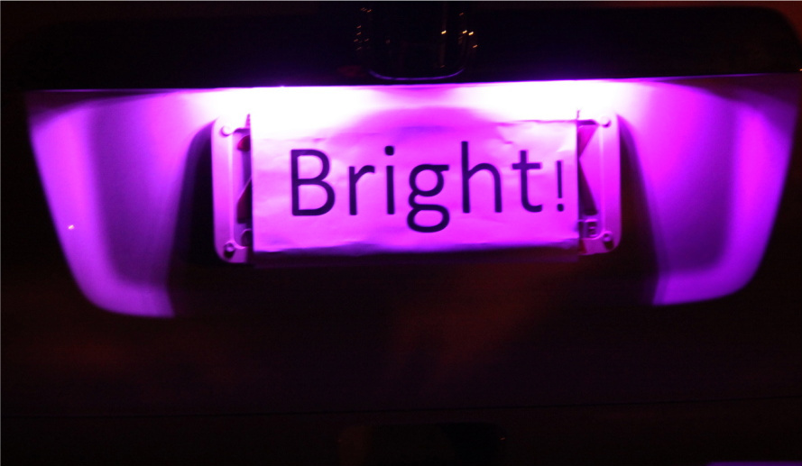 LED License Plate Lights Bright Blue For Holden Commodore VT VX VY VZ ...