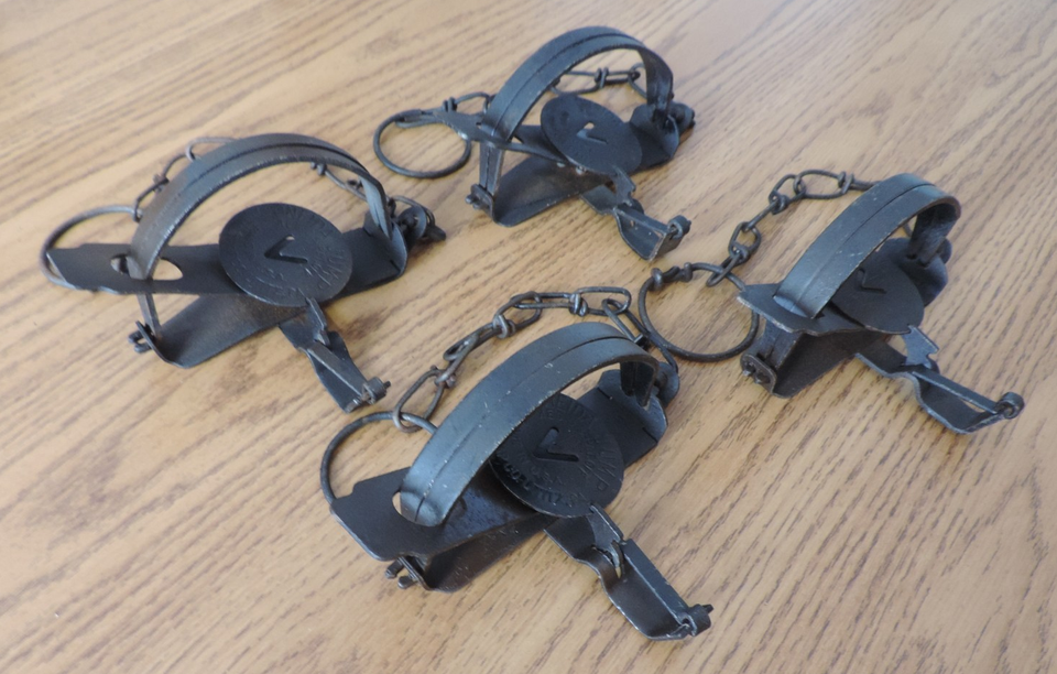 4 no. 1 1/2 Victor Jump traps preowned | eBay