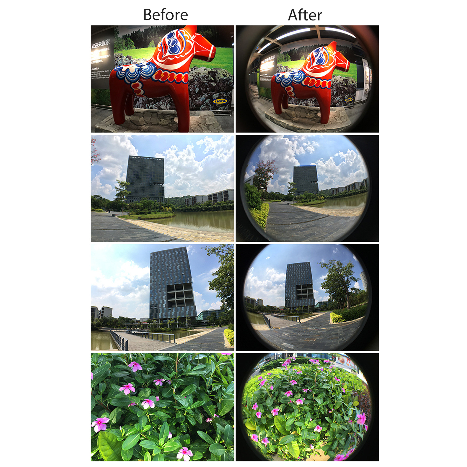 Sports Camera Fisheye Lens Optical Glass Wide Angle Fisheye Lens For ...