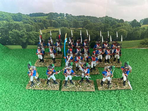Victrix Bavarian infantry Battalion 28mm -well painted and ready for ...