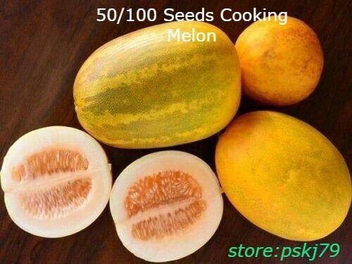 Cooking Melon Seeds/Kakiri Dosakaya Melon Dosakai Indian Cucumber 50/ ...