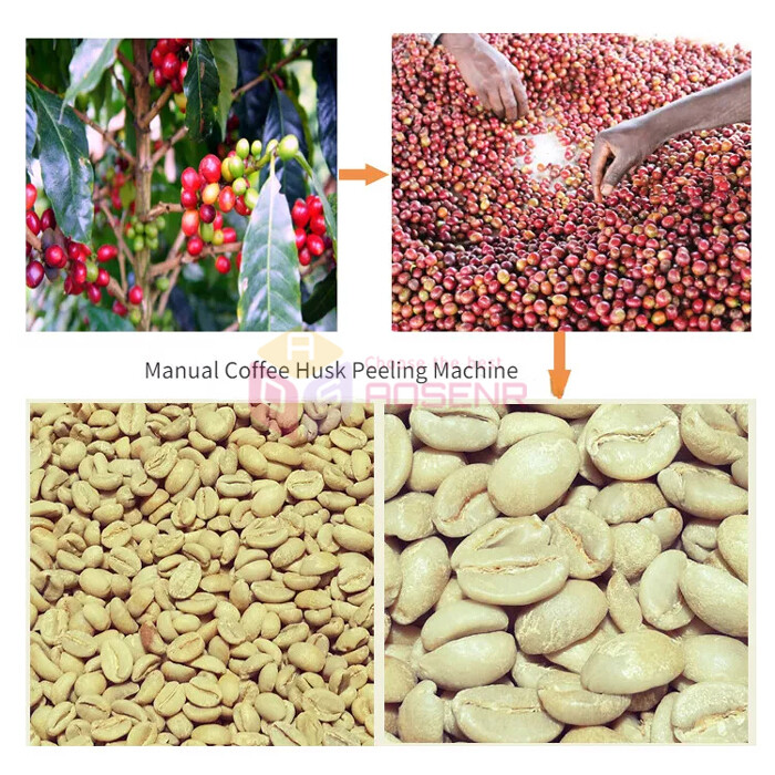 Manual Fresh Coffee Bean Peeling Machine Coffee Bean Sheller Shucking ...