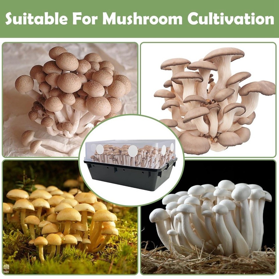 Monotub-Filterscheiben 2 mm Dicke 24-Stkon-2.5-" U3C29409 | eBay UK