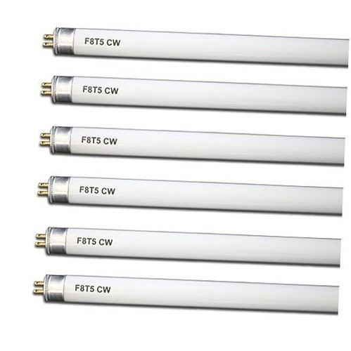 (6 Pack) F8T5/CW 4100K 12’’ Linear Fluorescent Light Bulb, 8W Cool ...