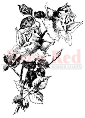 Deep Red Rubber Stamp Roses Pen and Ink Flower Blooms | eBay