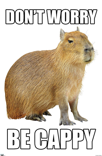 CAPYBARA - BE CAPPY POSTER - 22x34 - 24831 | eBay