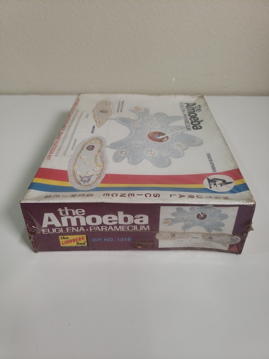 Amoeba Paramecium Model Plastic