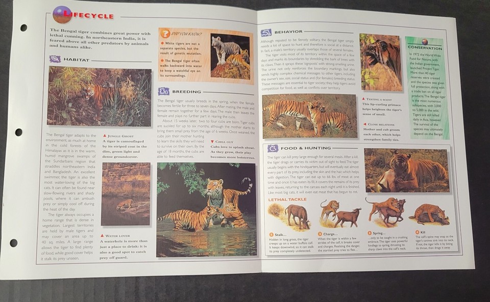 Wildlife Explorer Cards - 9 Cards - Groups 1, 3, and 4 | eBay