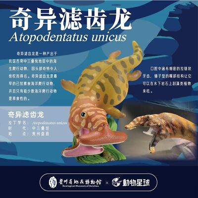 ANIMAL HEAVENLY BODY Studio Atopodentatus Unicus Model Dinosaur Animal ...