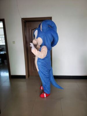 Halloween hedgehog mascot costume adult cartoon set party mascot | eBay