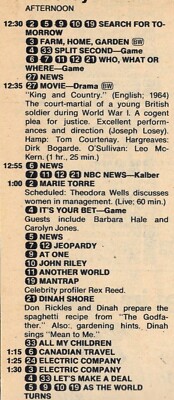 1973 TV AD~THEODORA WELLS Woman In Management ON THE MARIE TORRE SHOW ...
